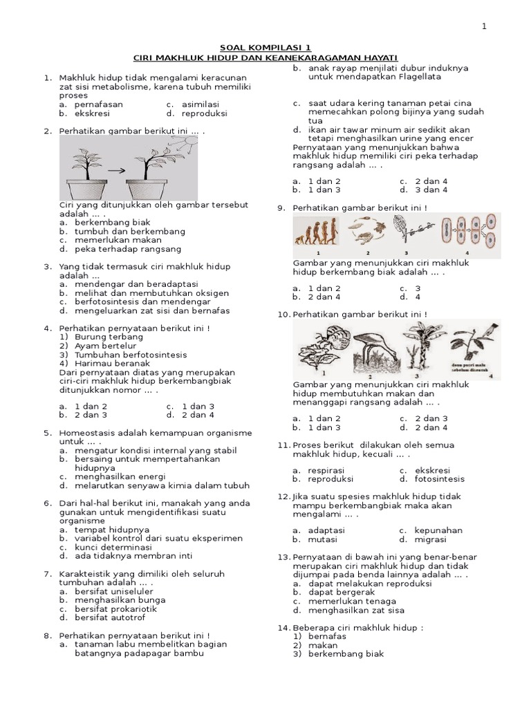 Soal Kompilasi Kelas 7 Sem 1 | PDF