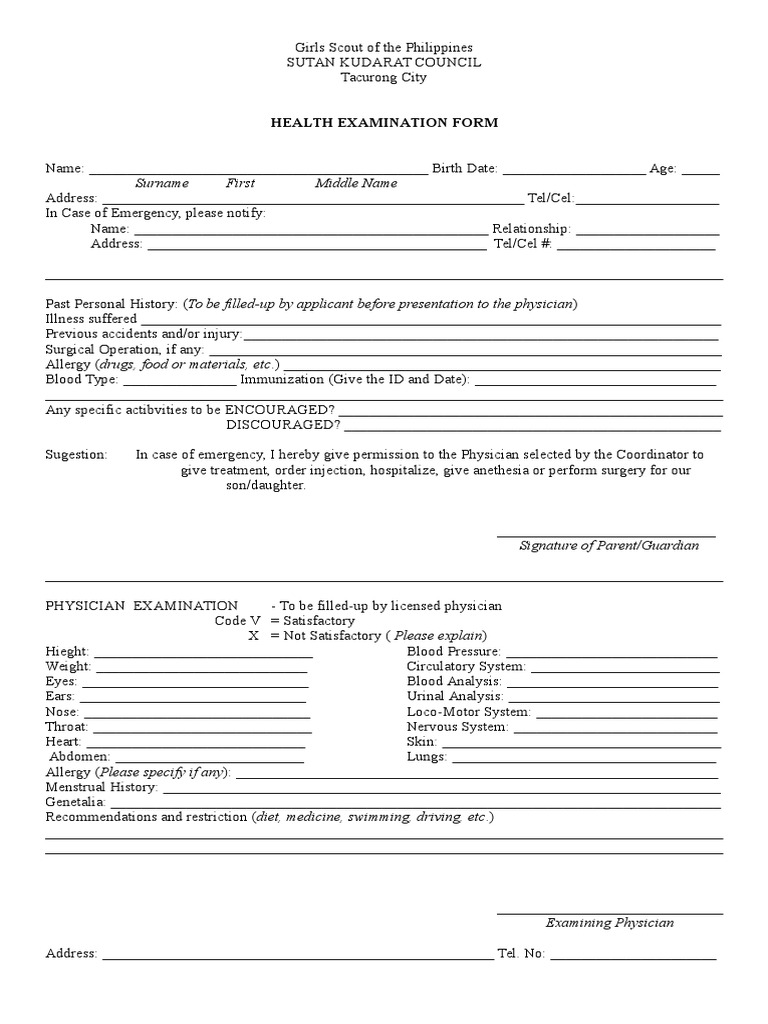 Boys Scout Form | PDF