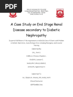 Sample Case Study | PDF | Chronic Kidney Disease | Renal Function