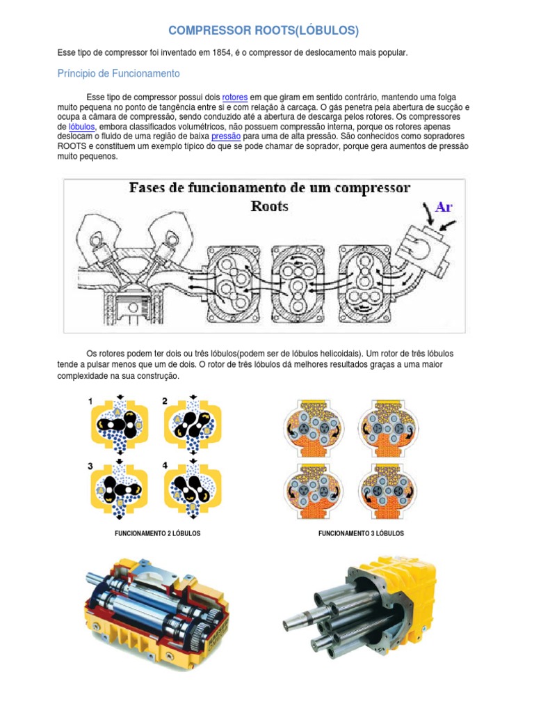 Compressor Roots Final | PDF | Gases | Engenharia Mecânica