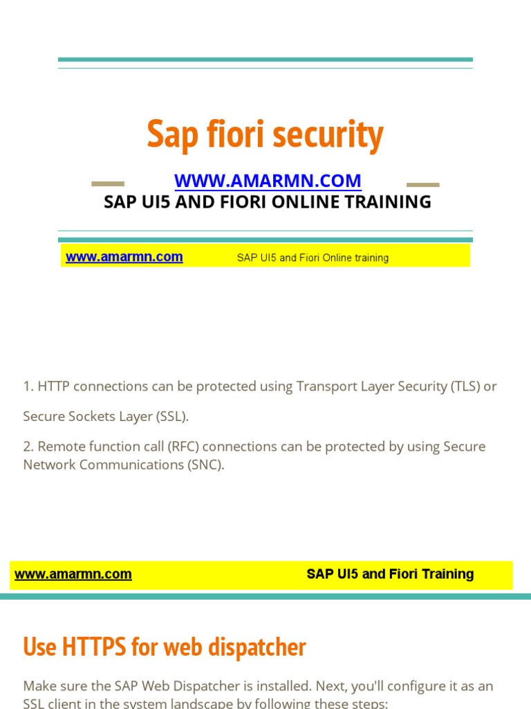 SAP Fiori Security PDF Transport Layer Security Communications 