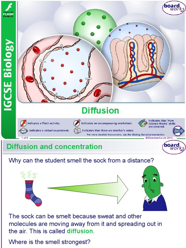 Boardworks Diffusion | PDF