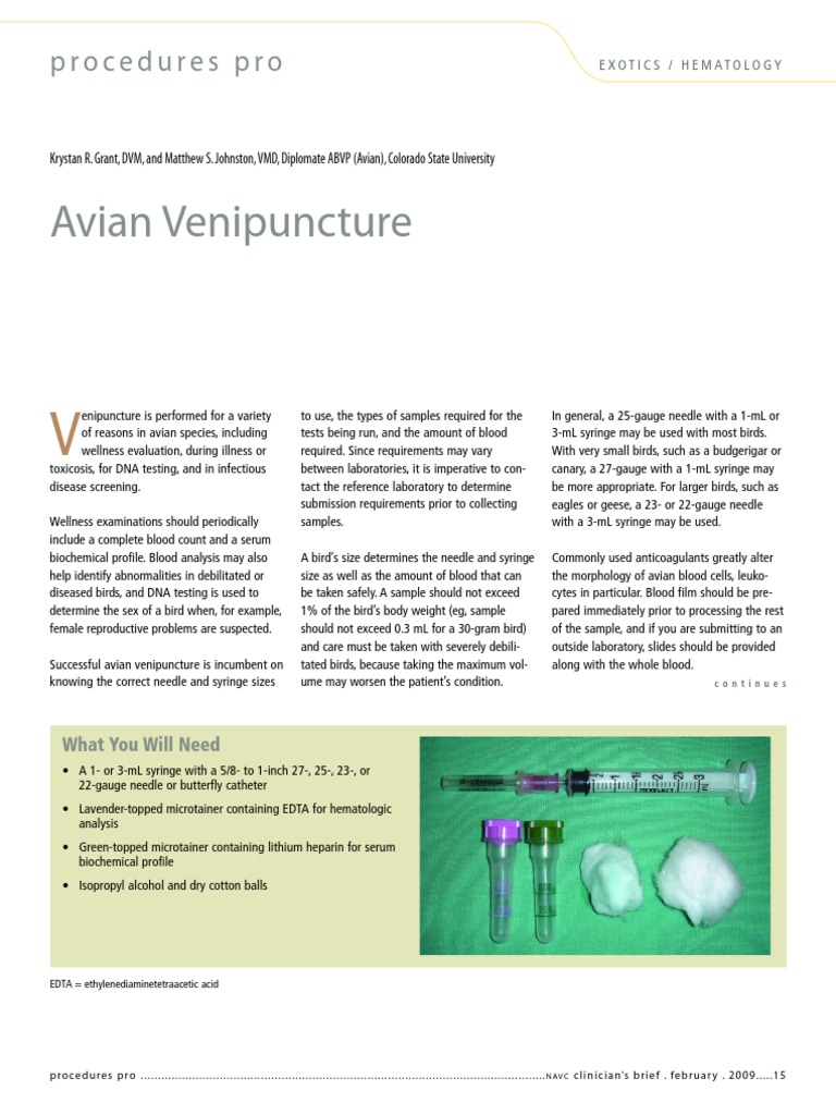 Avian Venipuncture: Procedures Pro | PDF | Medical Specialties ...