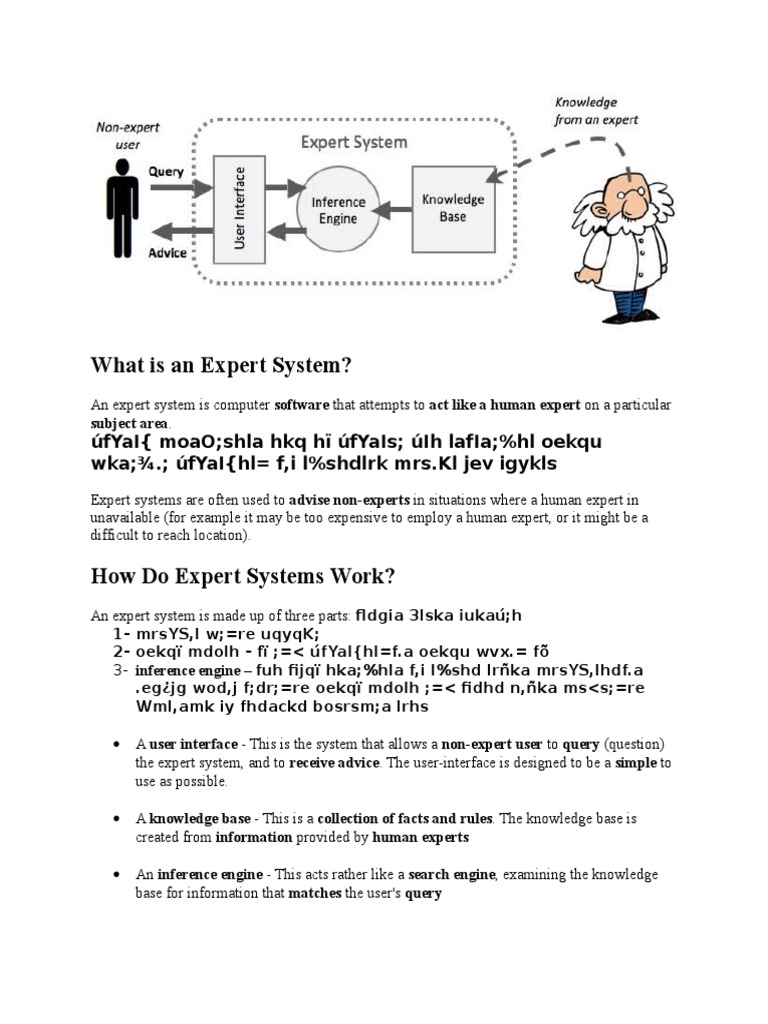 What Is An Expert System | PDF | Expert | Medical Diagnosis