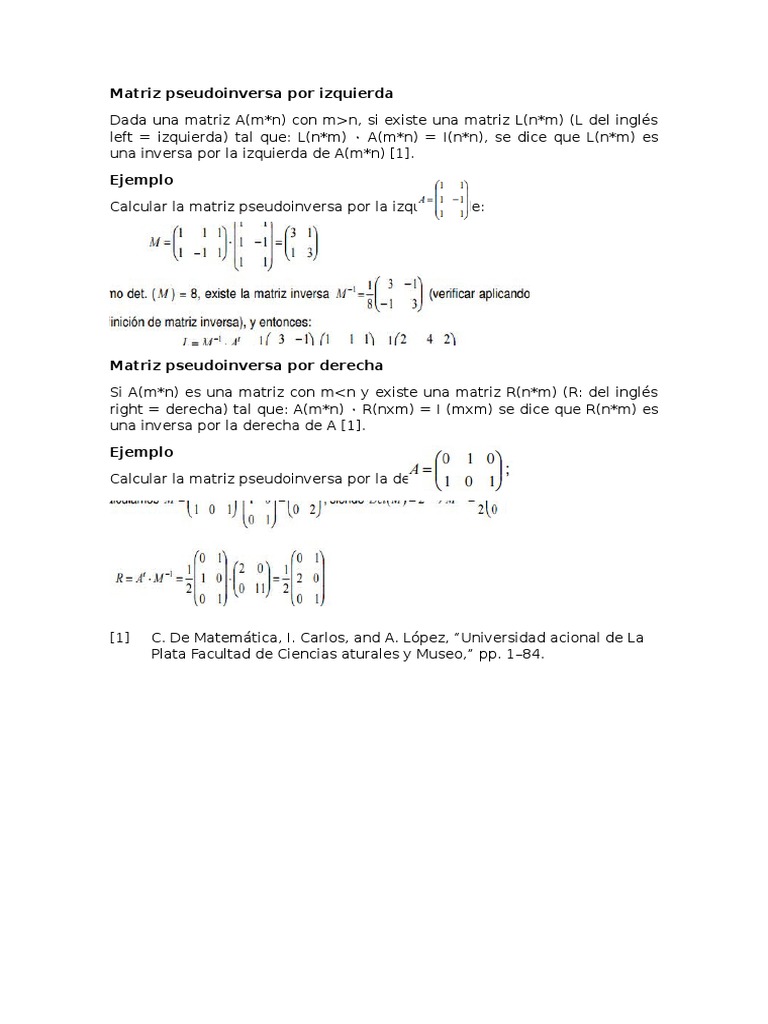 Matriz Pseudoinversa Por Izquierda y Derecha | PDF