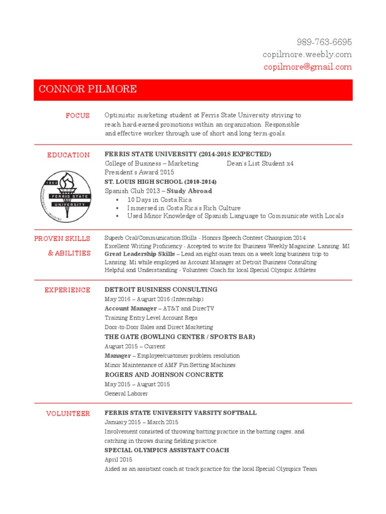Connor Pilmore: Focus | PDF | Business