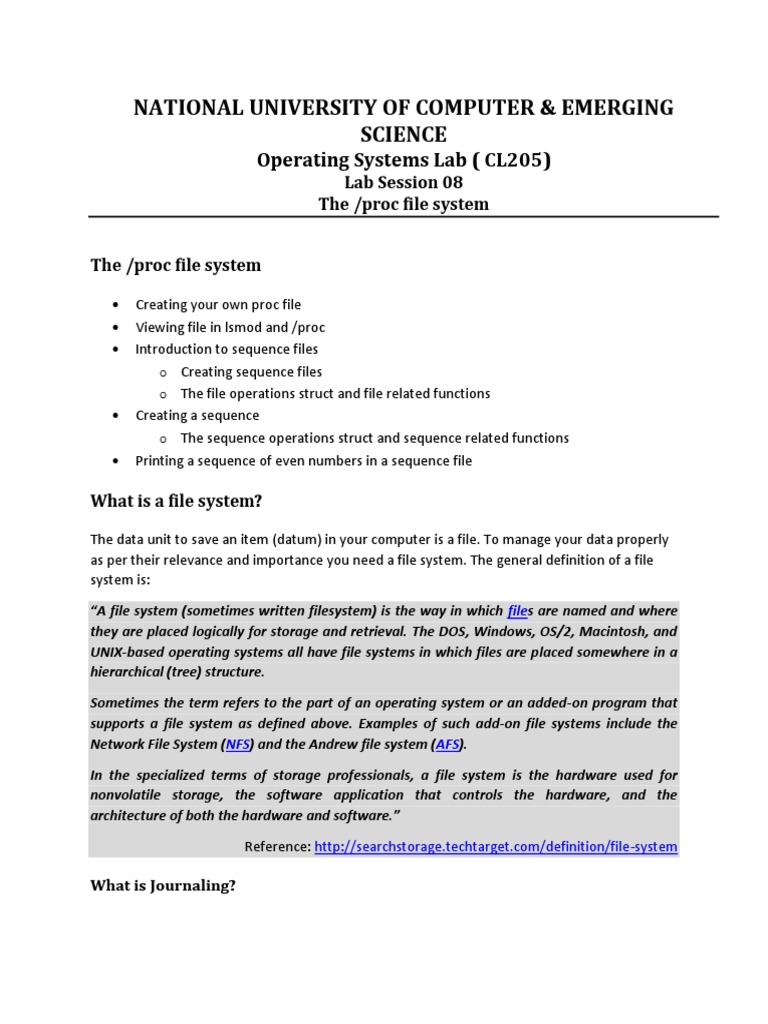 CL205 Lab8 | PDF | File System | Computer File