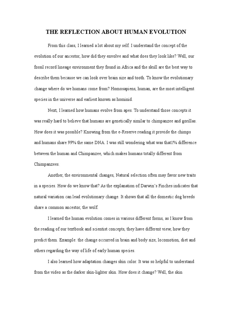 The Reflection About Human Evolution | PDF