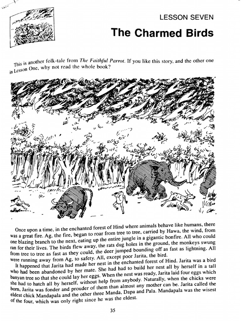 Class 6 English | PDF