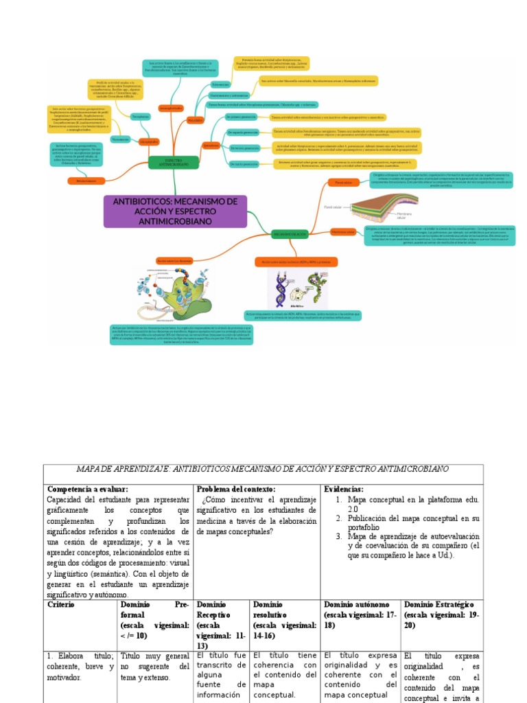 Antibioticos - Map Conceptual | PDF | Mapa | Aprendizaje