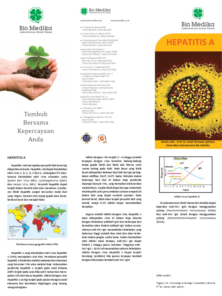 Brochure Hepatitis A | PDF