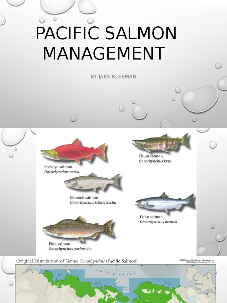 Salmon Management Pres | PDF | Salmon | Overfishing