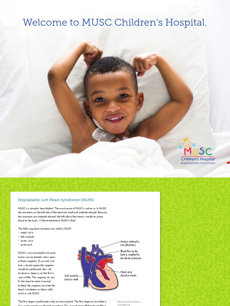 Welcome To MUSC Children's Hospital | PDF | Heart | Atrium (Heart)