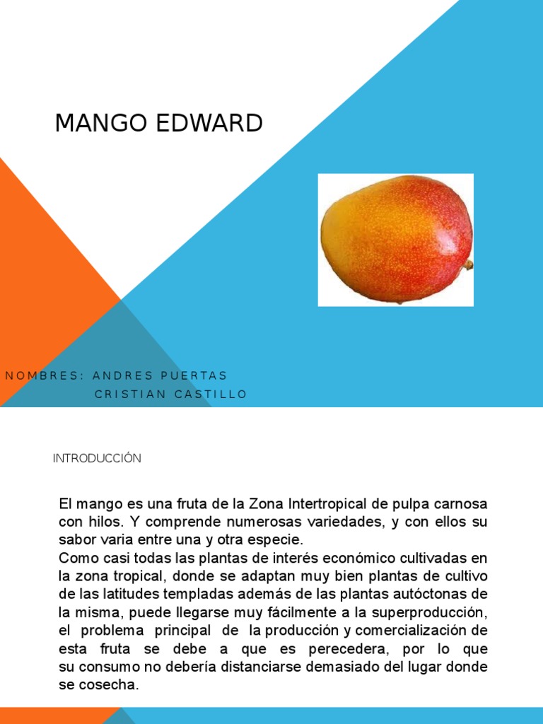Mango Edward: Características y Beneficios | PDF | Mango | Cocina vegana