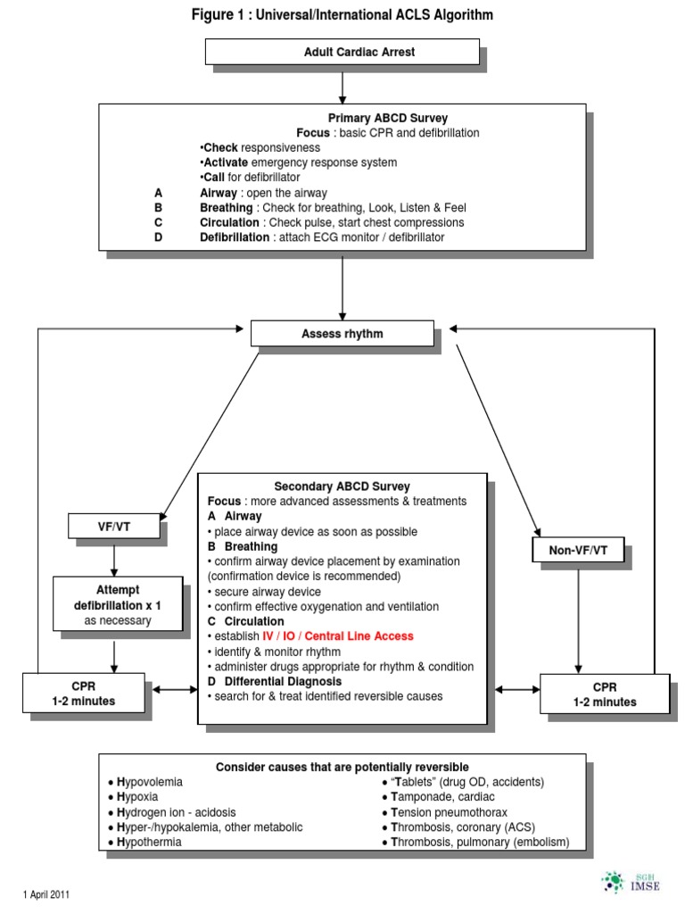 ACLS Adult Cardiac Arrest Protocols | PDF | Cardiopulmonary ...
