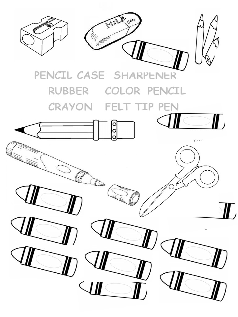 Pencil Case Essentials Guide | PDF