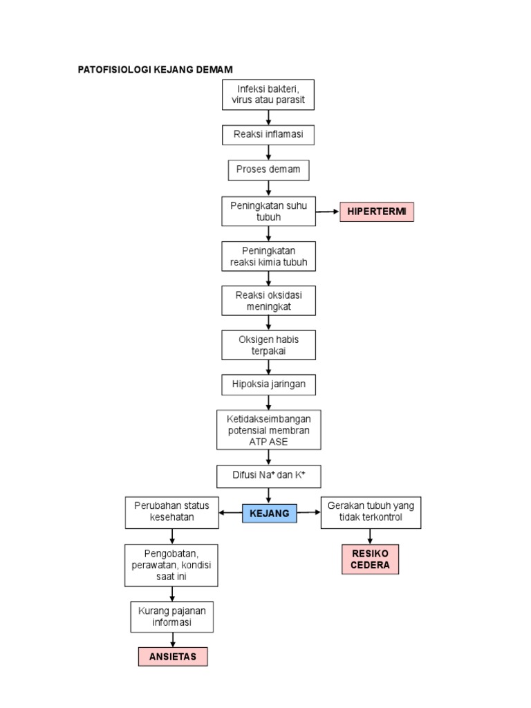 Pathway Kejang Demam | PDF