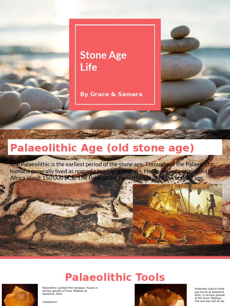 Stone Age Life | PDF