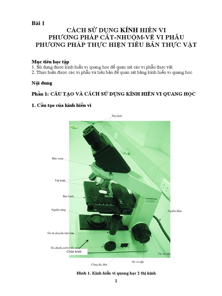 Bmt-Giao Trinh TH TVD | PDF