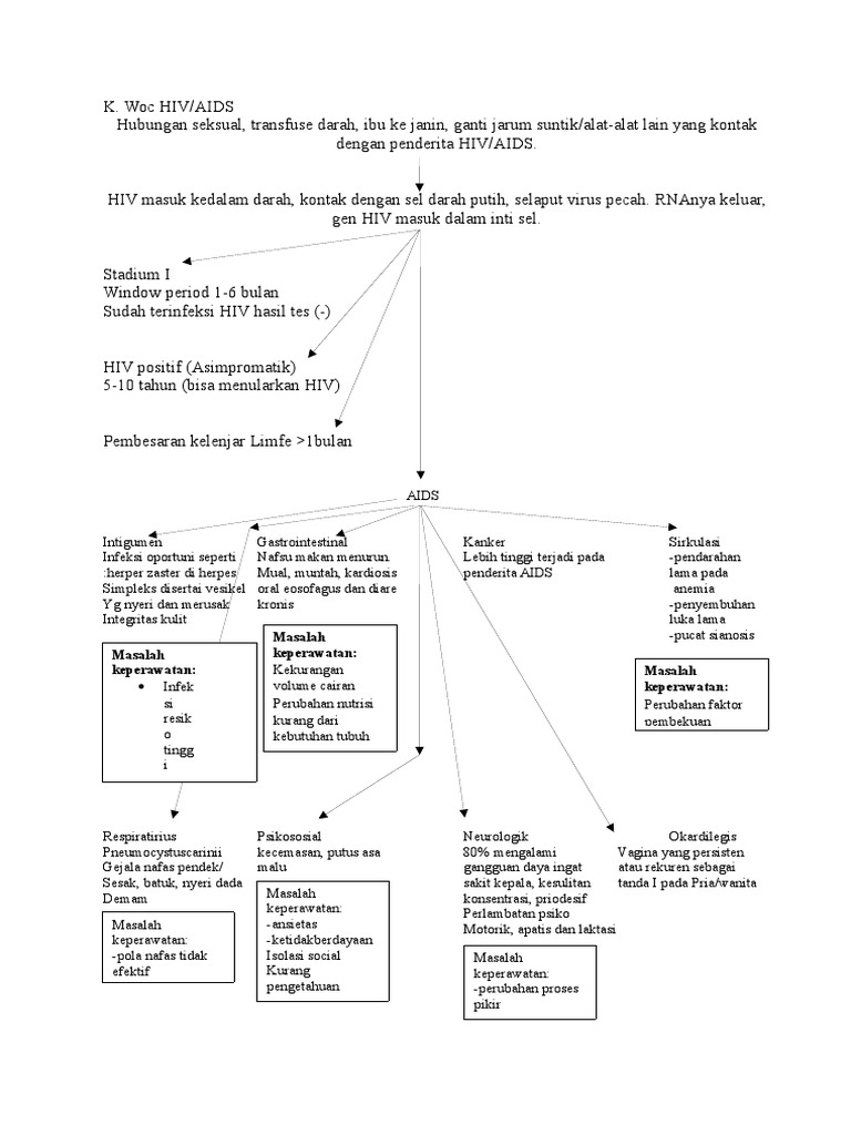 Woc Hiv Aids 1 | PDF