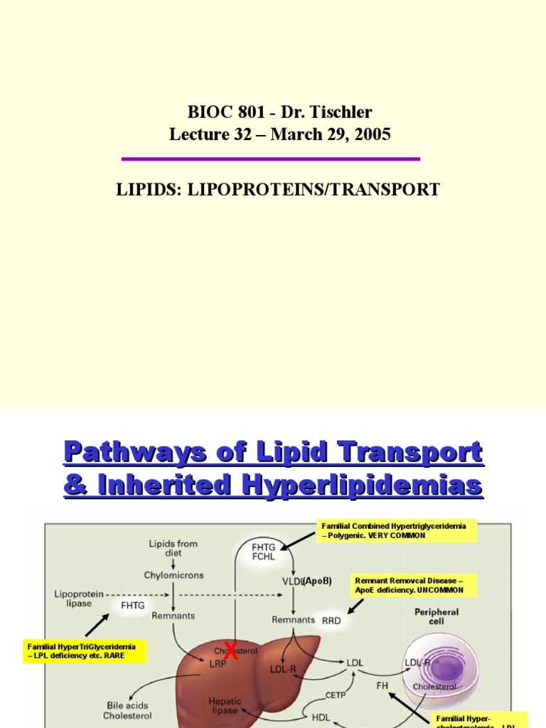 Lipid Transport | Download Free PDF | Lipoprotein | Cholesterol