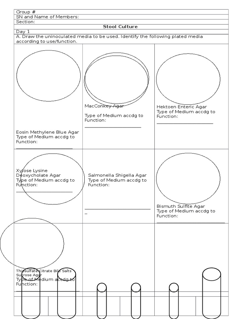 Stool Culture | PDF | Microbiology | Nature