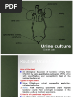 Miles and Misra Method for CFU Counting | PDF | Colony Forming Unit ...