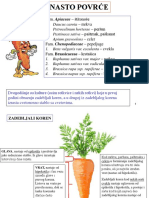 Ruze Topalovic Katalog | PDF