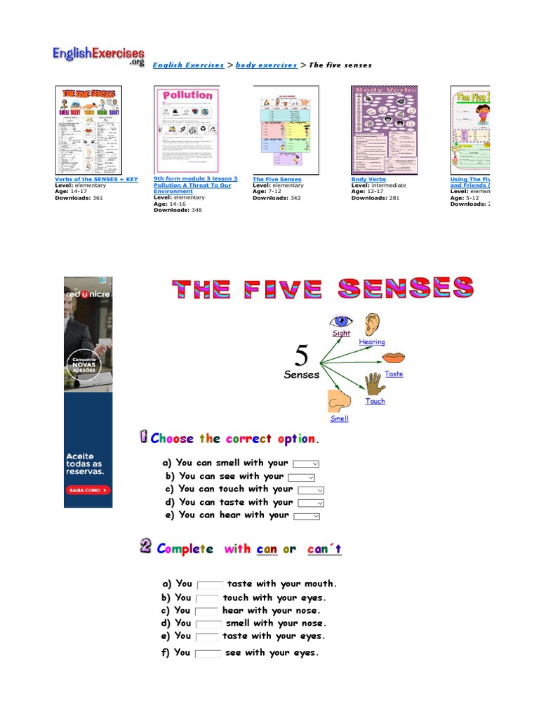 English Exercises - The Five Senses PDF | PDF