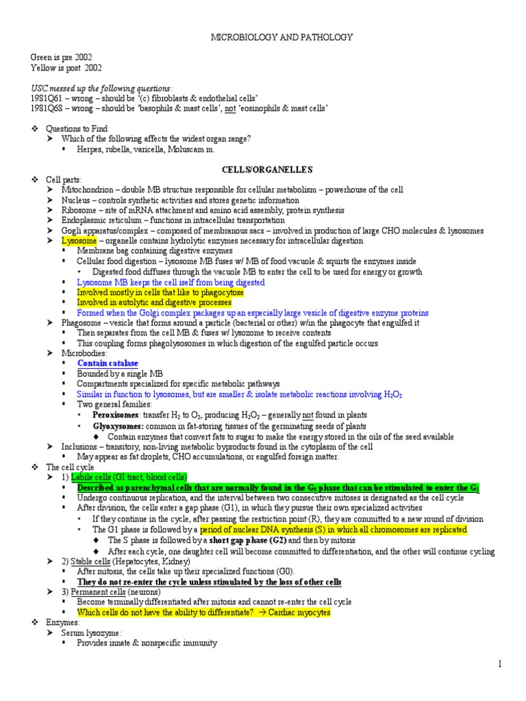 Micro-Patho Nuggets PDF | PDF | T Helper Cell | B Cell