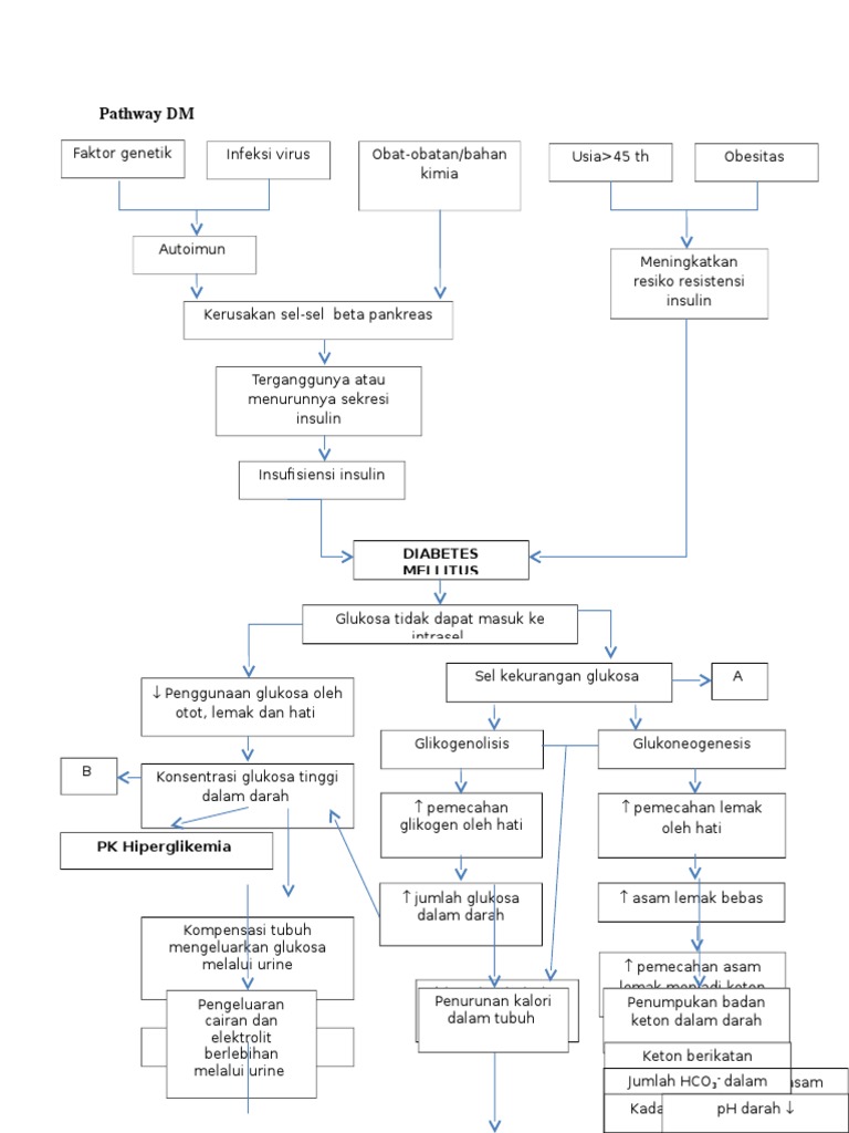 Pathway Diabetes Melitus | PDF