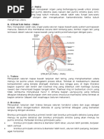 Segmen Pada Lobus Paru Paru Dan Fungsi Masing | PDF