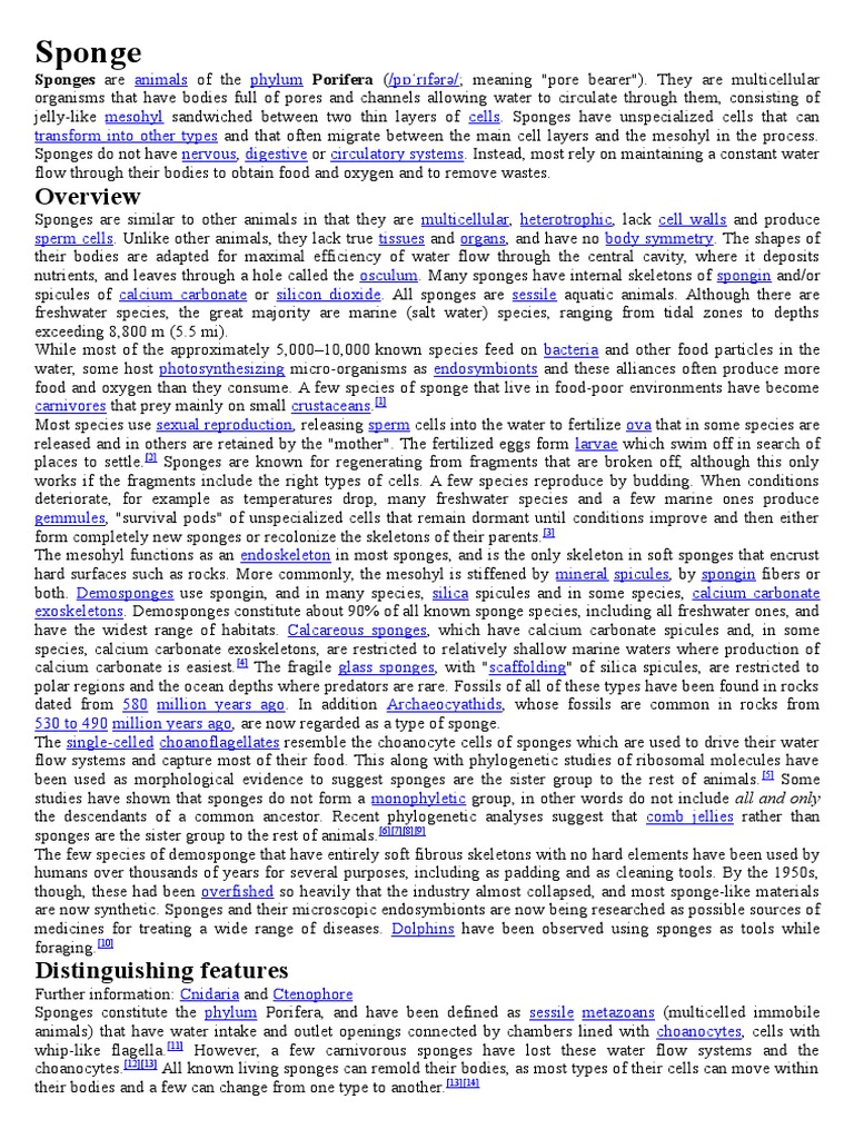 Sponge: Sponges Are | PDF | Sponge | Zoology