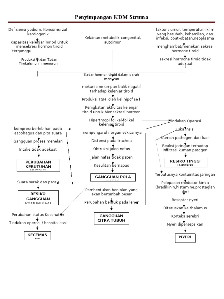 Pathway Struma | PDF