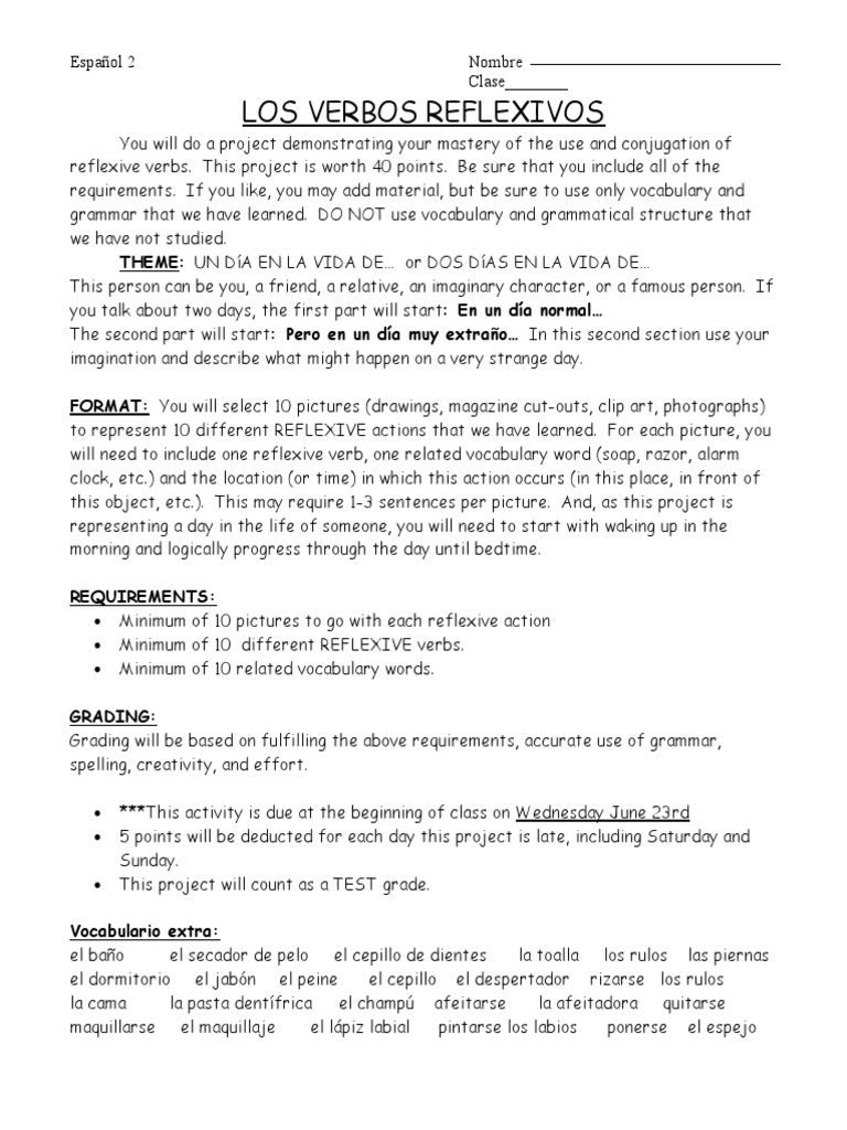 Reflexive Verbs Project Guidelines | PDF
