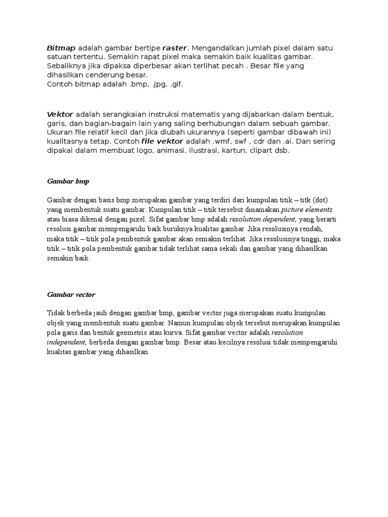 Bitmap Dan Vektor | PDF