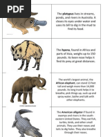 Snake Anatomy and Physiology | PDF | Snake | Senses