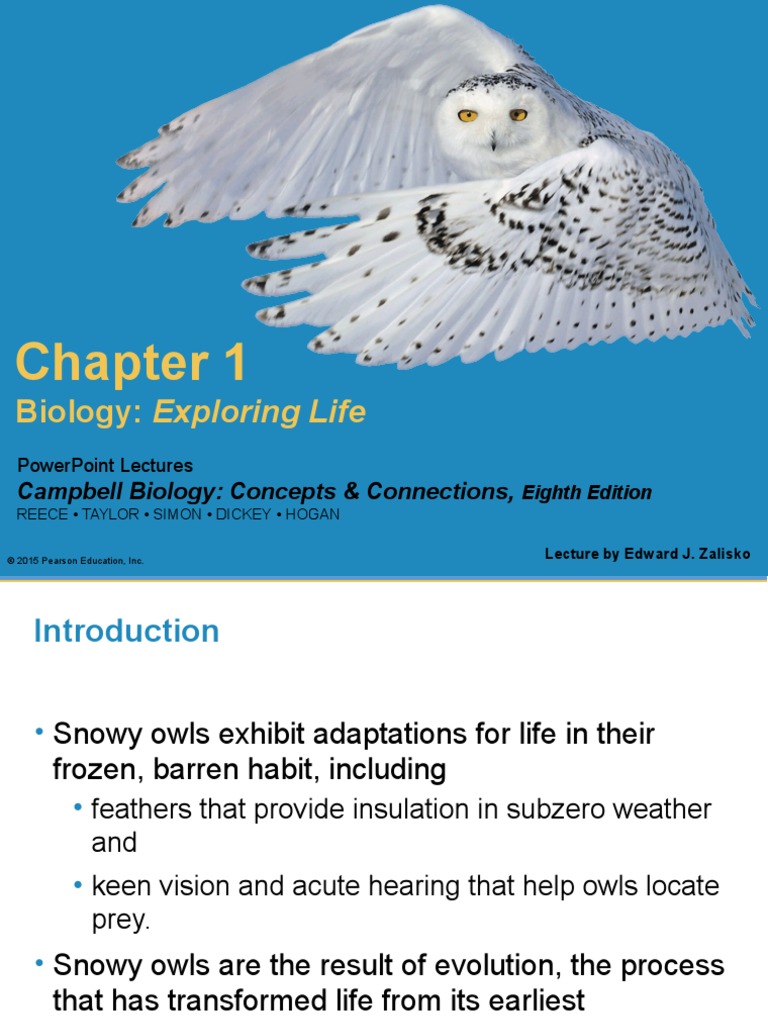 BIO 111: Chapter 1 Lecture Presentation | PDF | Cell (Biology) | Life