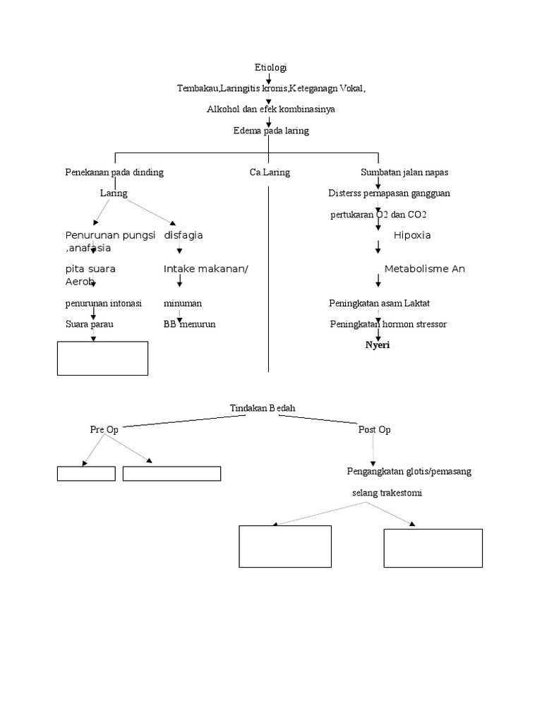 Pathways CA Laring | PDF