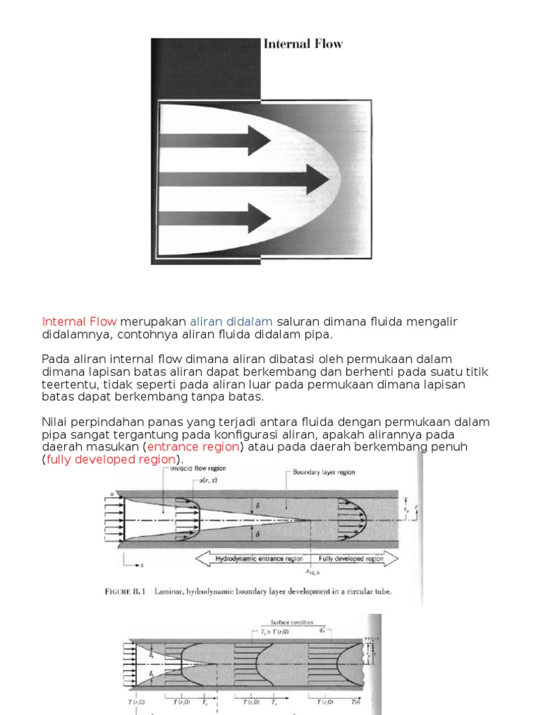 Internal Flow | PDF