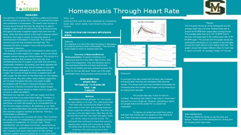Heartbeat Homeostasis | PDF | Heart Rate | Homeostasis