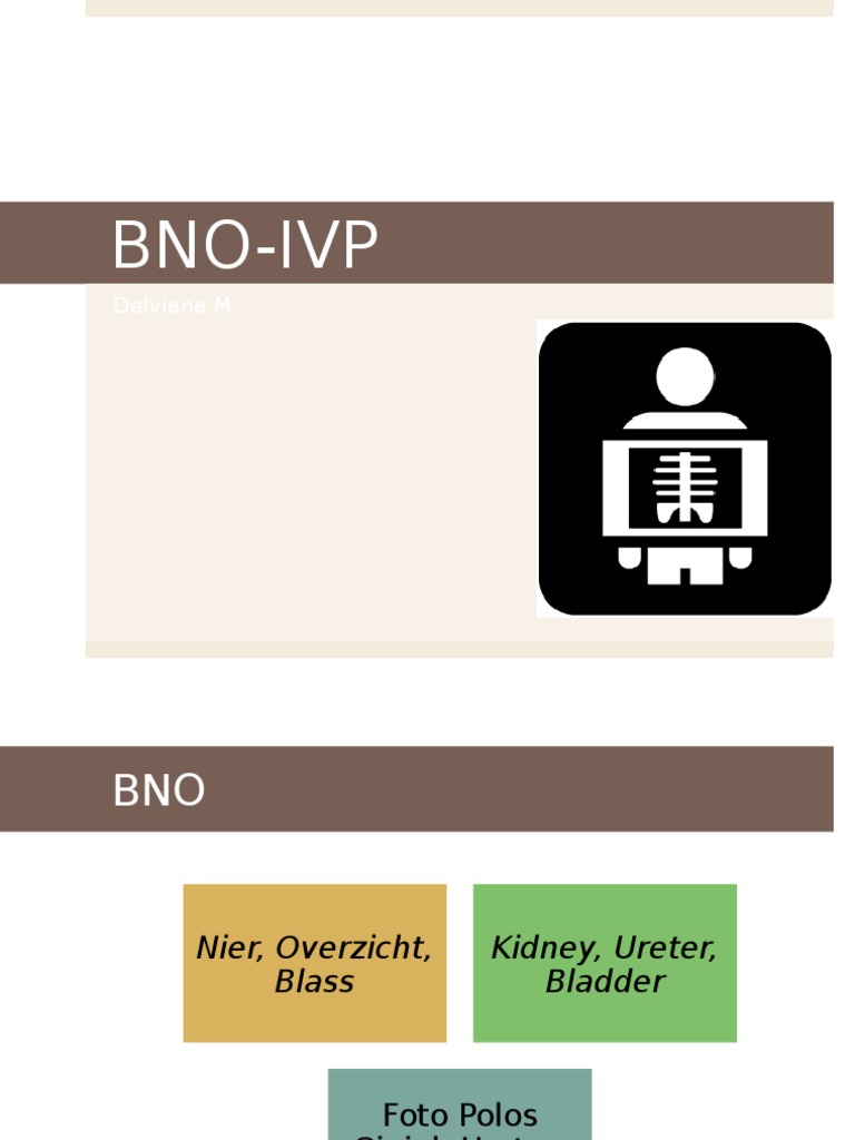 Bno Ivp | PDF | Urology | Urinary System