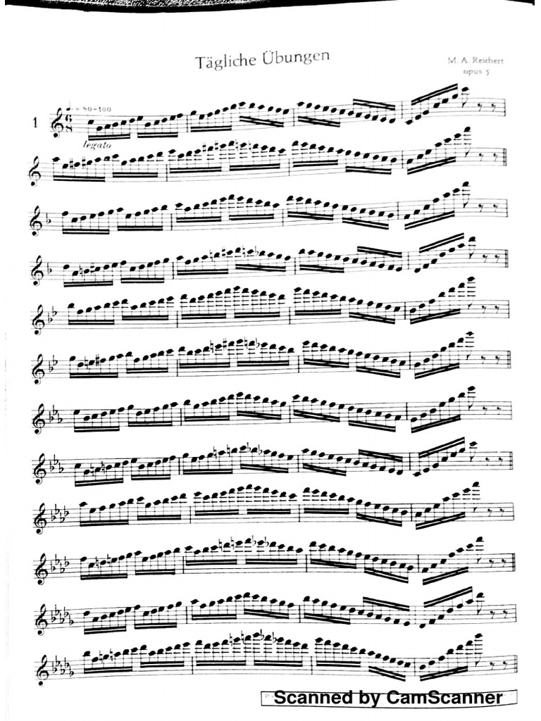 Flute Studies | PDF