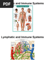 Kelly Kennedy Lymphatic Lessons | PDF | Lymphatic System | Lymph