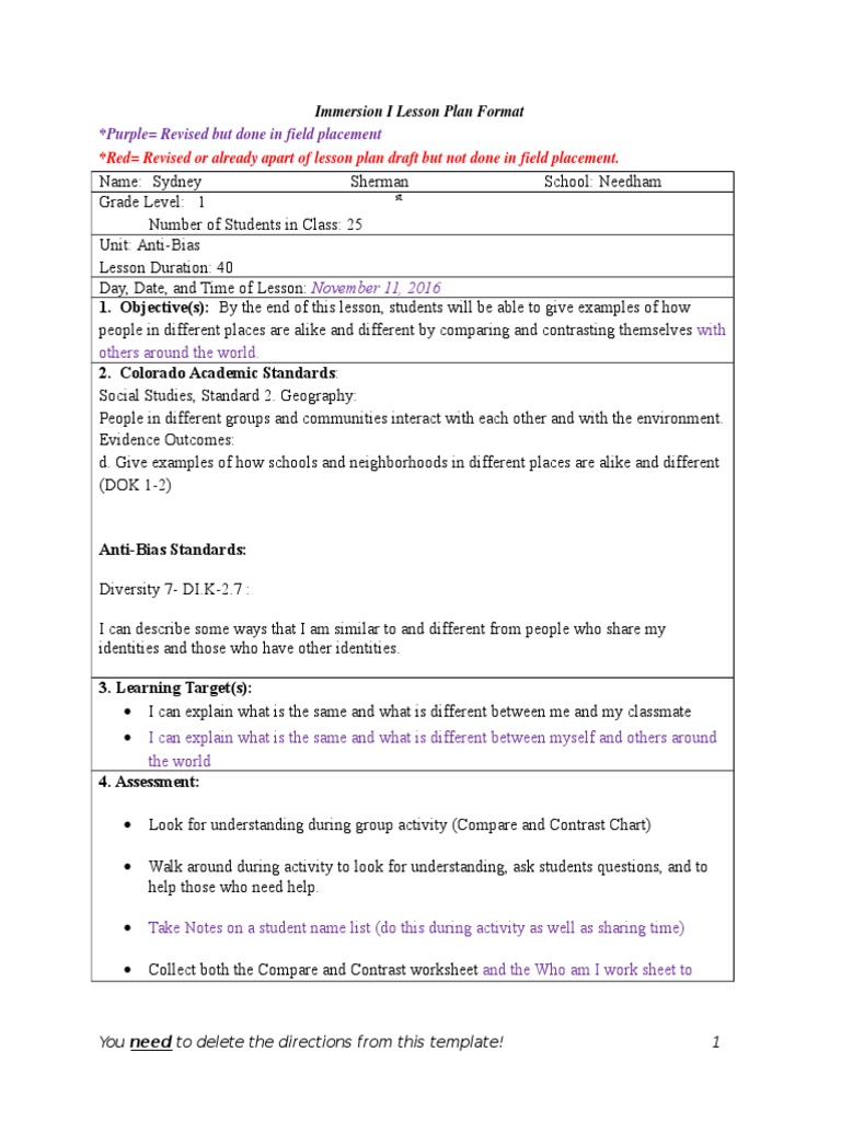 Immersion I Lesson Plan Anti Bias Revised With Evaluation | PDF ...