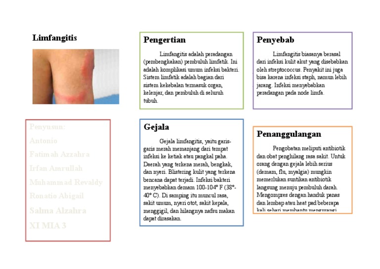 Limfangitis Pamflet | PDF
