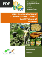 Cardava Profile | PDF | Banana | Nutrition