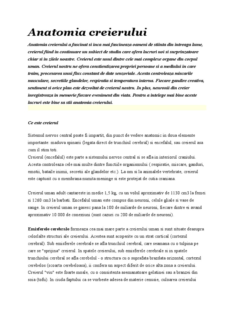 Anatomia Creierului | PDF