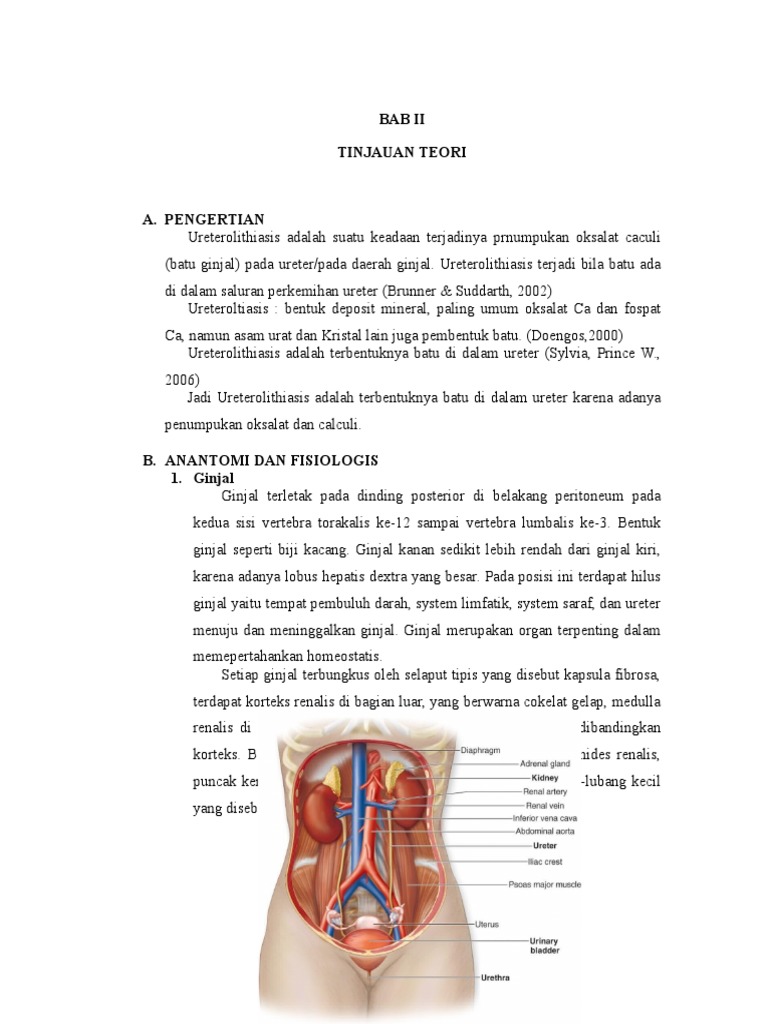 Laporan Pendahuluan Ureterolithiasis