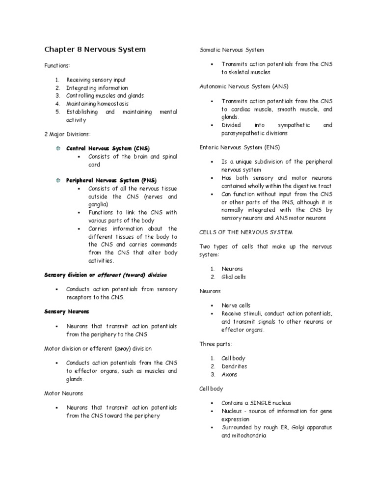 Anatomy Reviewer Nervous System | PDF | Nervous System | Neuron